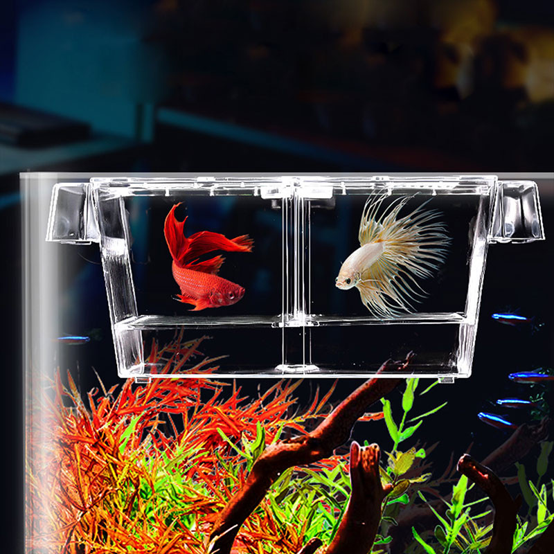 Mini Aquarium Tank Fish Breeding Isolation Box Fish Hatching Box ...