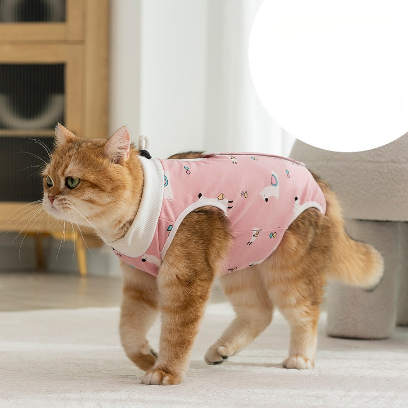 Pet Recovery Suit for Cat Breathable Dog Onesie for Surgery Spay Neuter ...