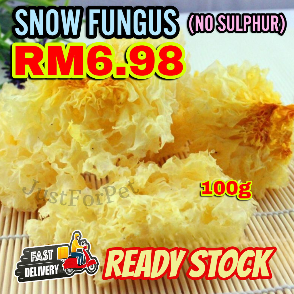 𝐑𝐄𝐀𝐃𝐘 𝐒𝐓𝐎𝐂𝐊 𝐌𝐀𝐋𝐀𝐘𝐒𝐈𝐀 100g Snow Fungus / White Fungus / Xue Er / Yin Er ...