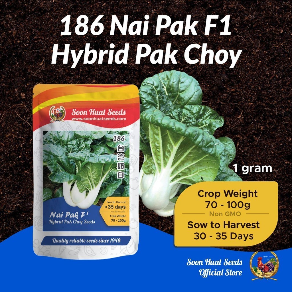 [Small Pack] 186 Benih Nai Pak Choy Soon Huat Seeds | Shopee Malaysia
