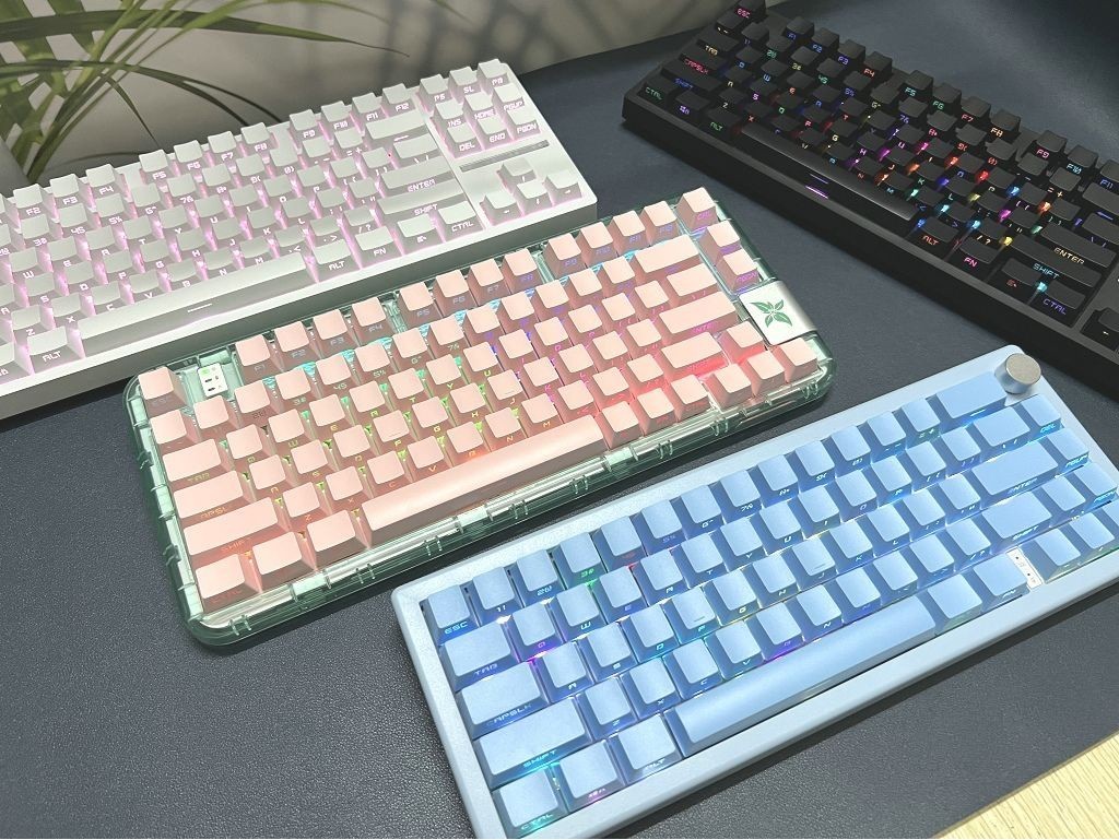 (Lychee Gaming) 2023 New side engraved translucent keycaps OEM height ...