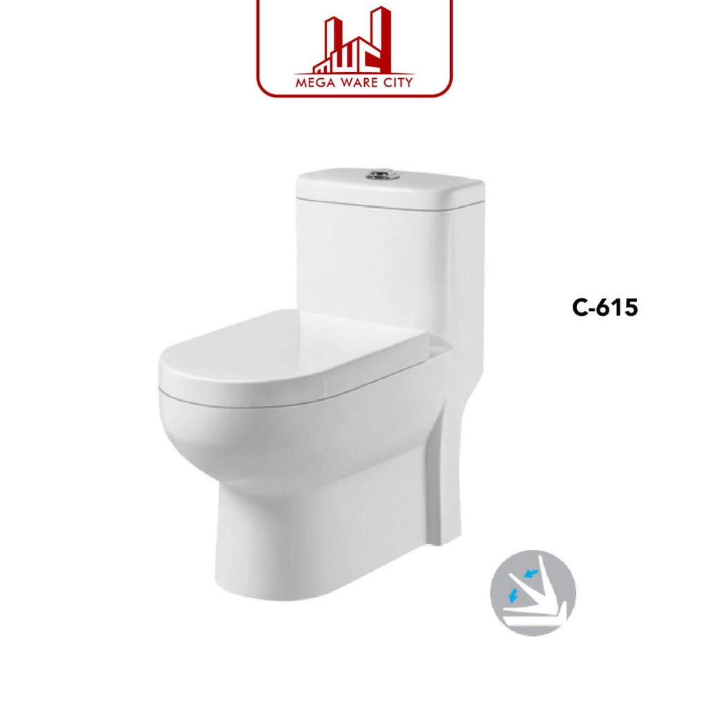 ZELLA C-615 Washdown Water Closet S-Trap 250MM One Piece Toilet Bowl ...