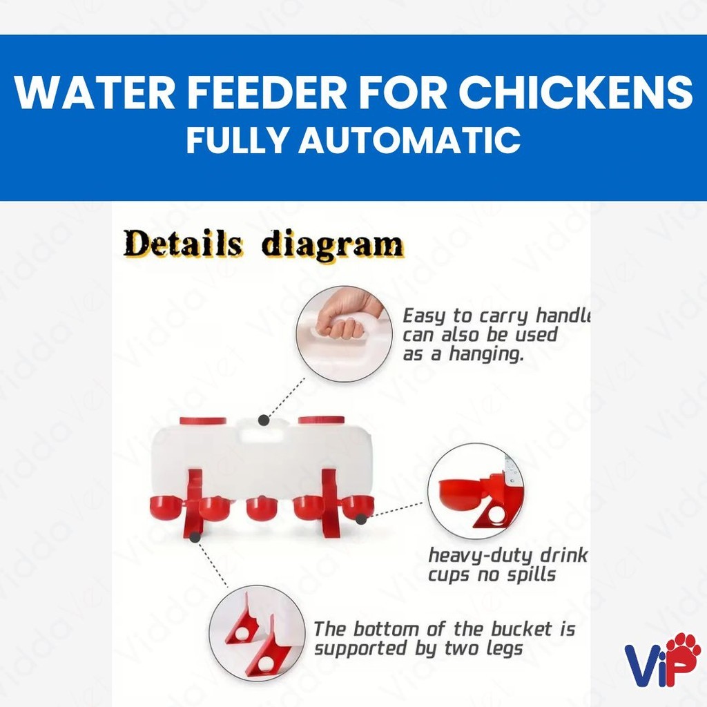 Durable Plastic Poultry Water Dispenser for Chicks, Ducklings, Pigeons ...