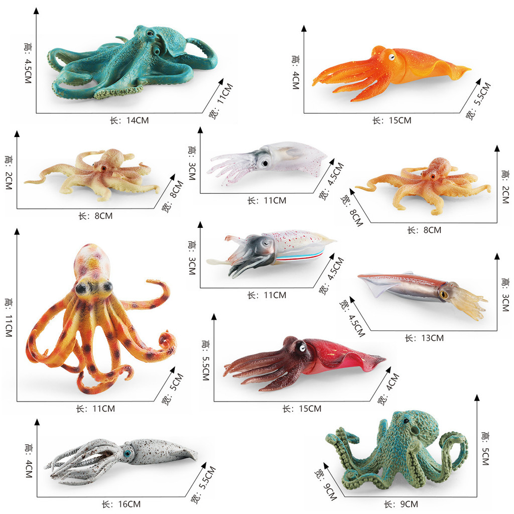 Oceanic Detailed Squid And Octopus Models Perfect For Educational And ...