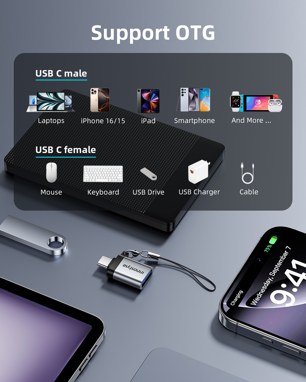 InnoStyle NexaLink USB-C to USB-A Female Adapter - USB3.0, 5Gbps with ...