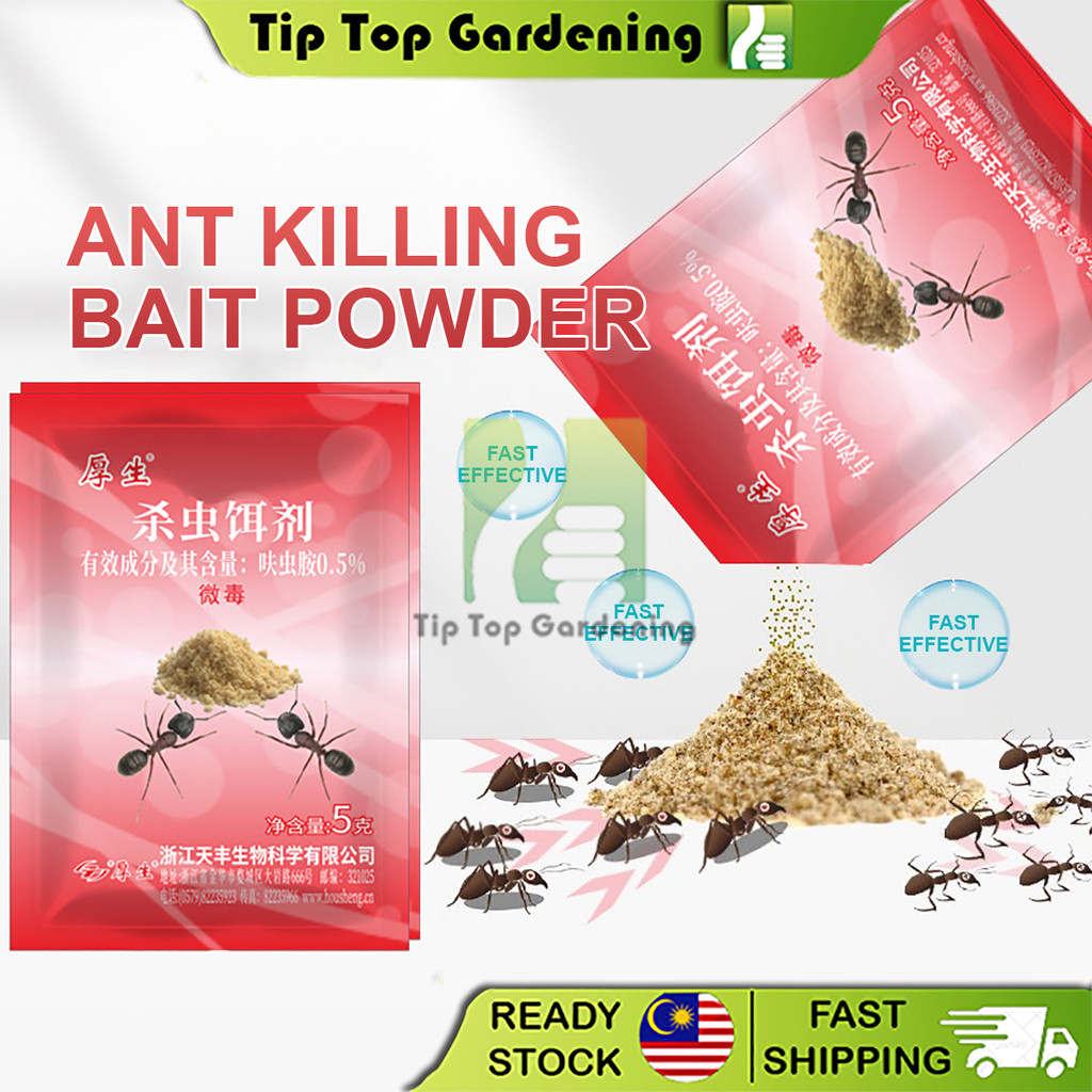HOUSHENG Ant Killing Bait Powder 5g Cockroach Bait Insect Killer Ubat ...