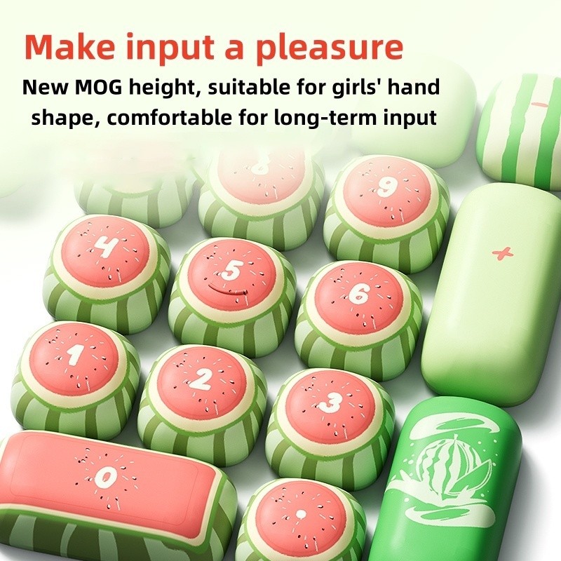 Akko 138-Keys Watermelon Theme Keycaps Detachable Universal ...