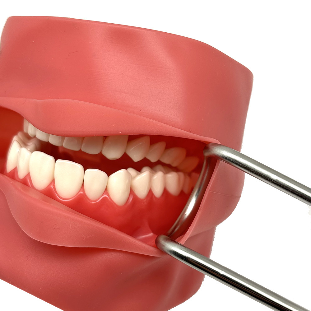 Dental Double-headed Dental Mouth Expand Lip Retractor Intraoral Cheek ...