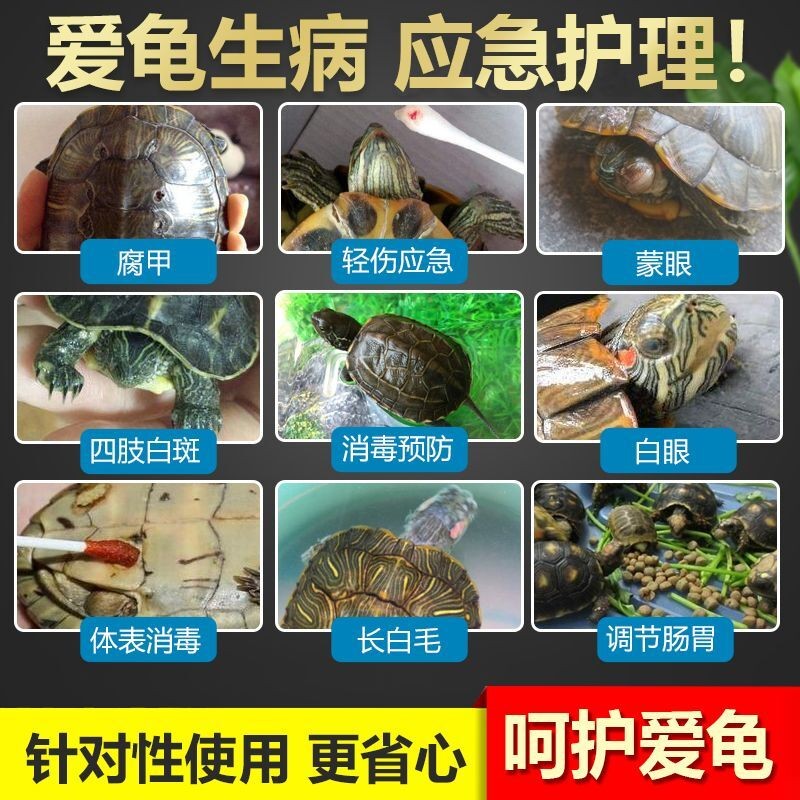 [READY STOCK] Universal Turtle Food for Red-Eared Sliders & Alligators ...