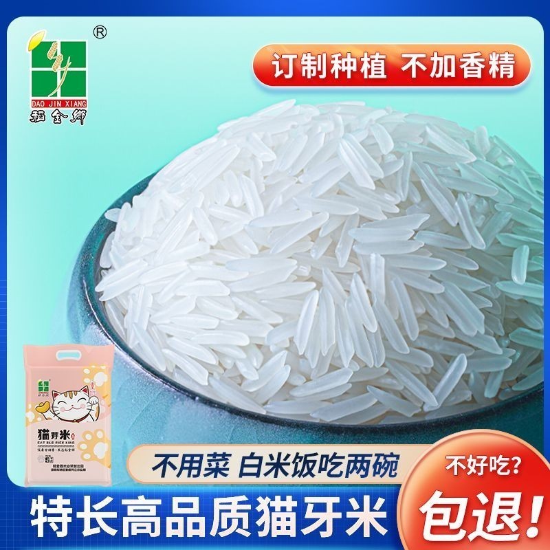 Daojinxiang Authentic Cat Tooth Rice 5.0kg10.0kg Long Grain Fragrant ...