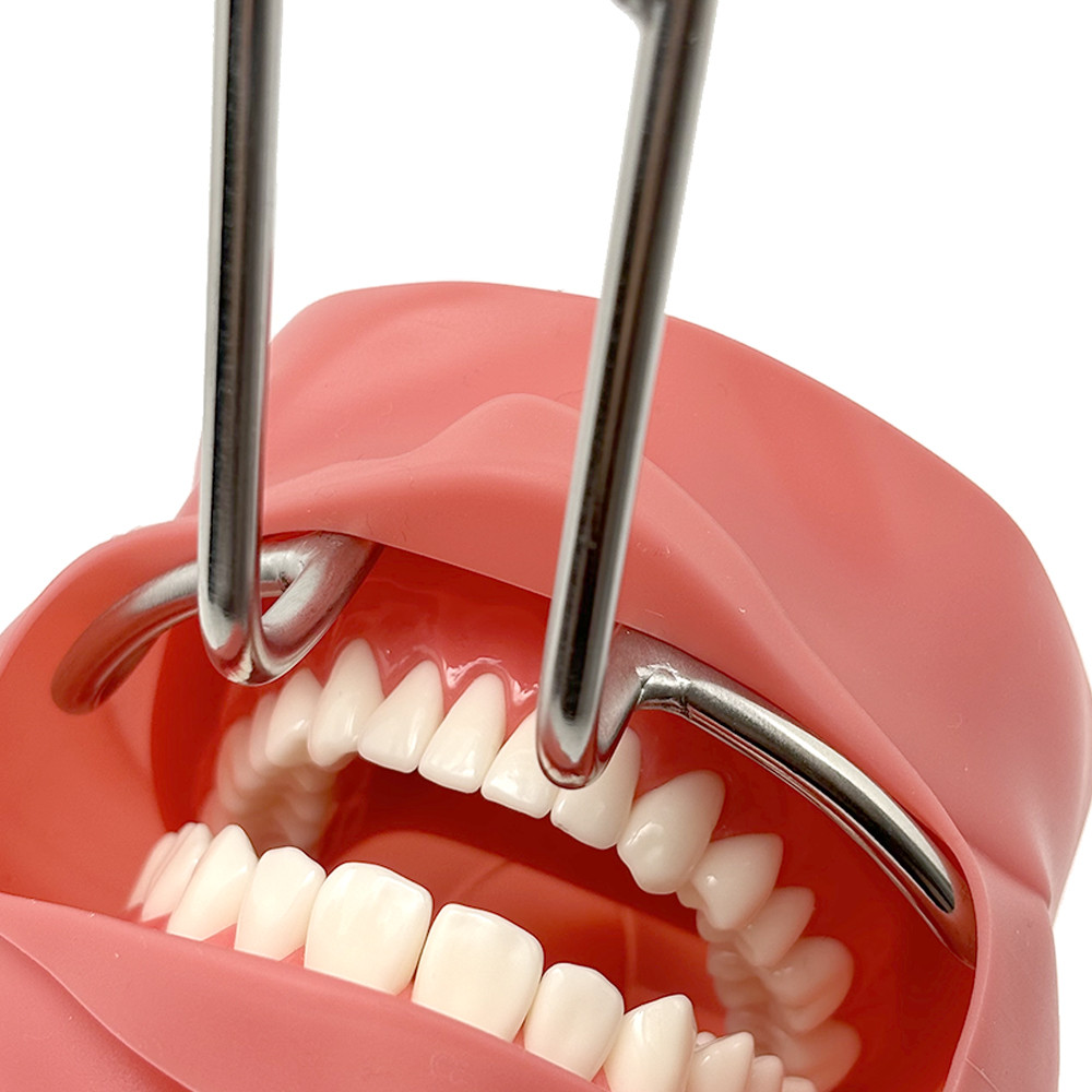Double-headed Dental Mouth Expand Lip Retractor Intraoral Cheek Upper ...