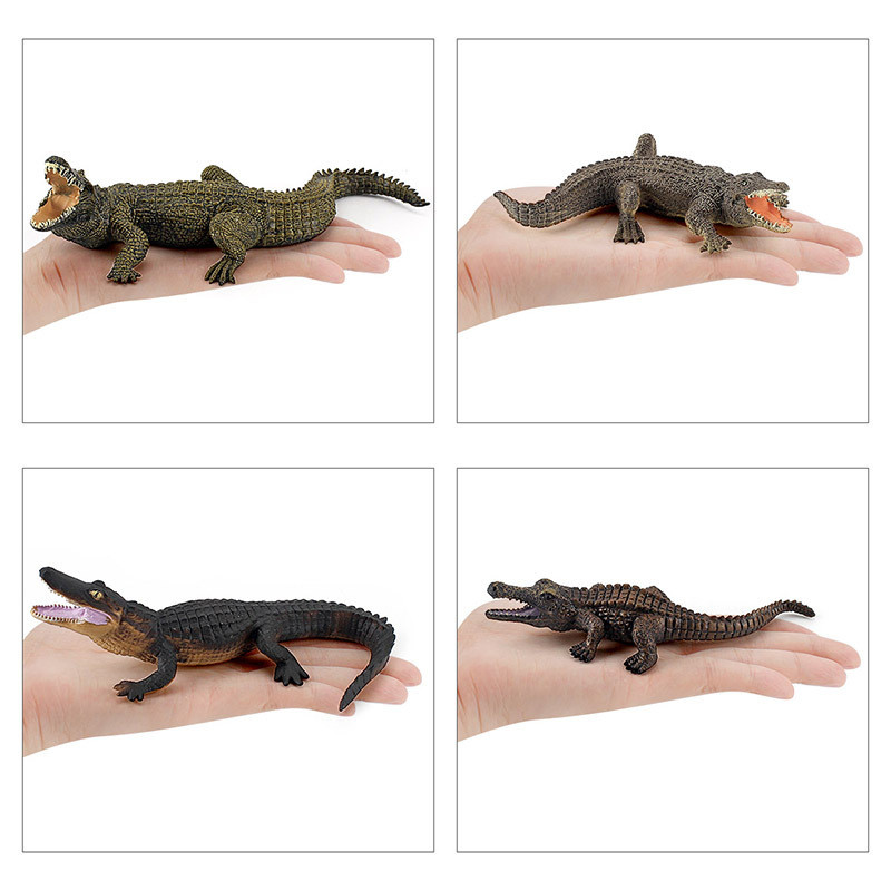 Animal Simulation Pvc Crocodile Model Collection For Educational And ...
