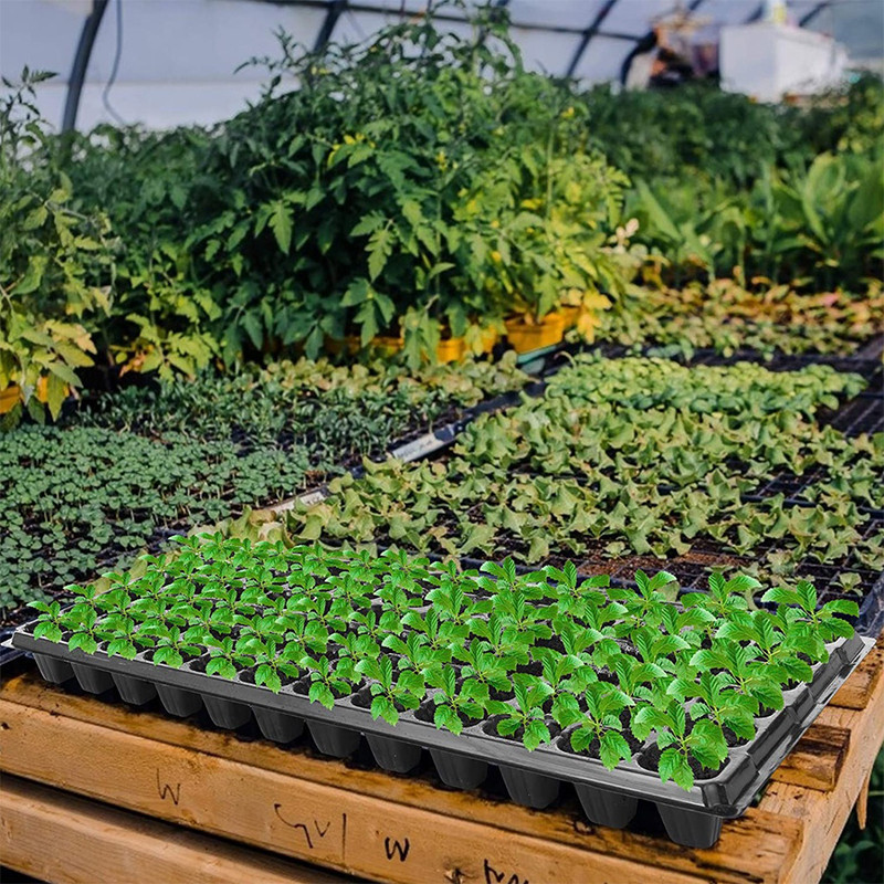 Plastic Seedling Tray Vegetable Seedling Box Seedling Cutting Box ...