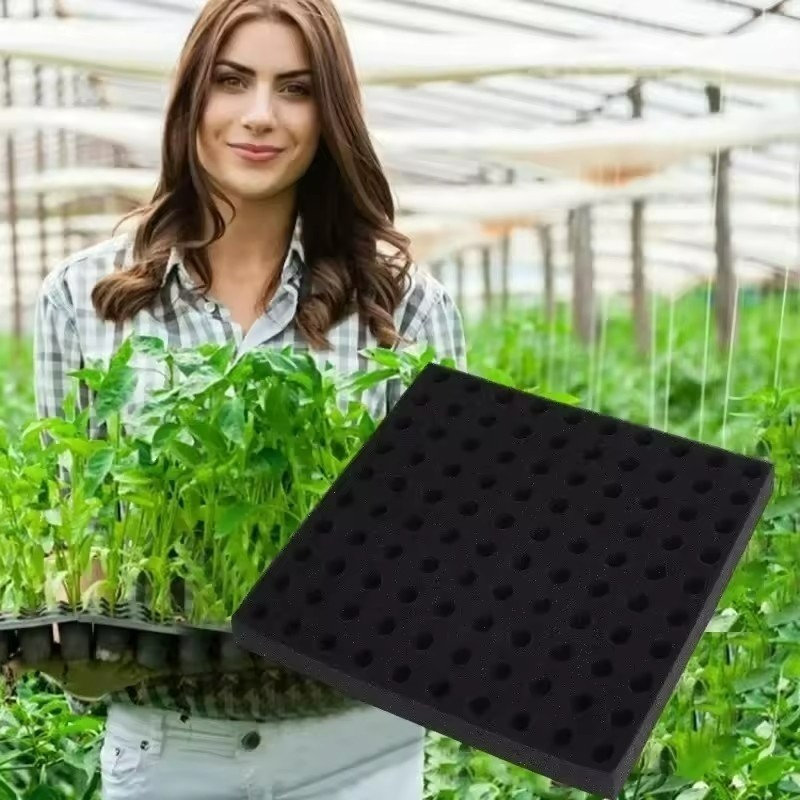 500/100PCS Hydroponic Sponge Block - Soilless Hydroponic Seedling ...