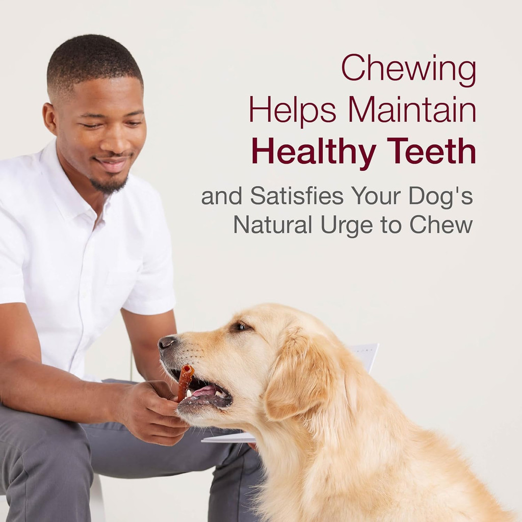 SmartBones Mini Dog Bones Treats Rawhide Free Real Chicken Chew Sticks ...