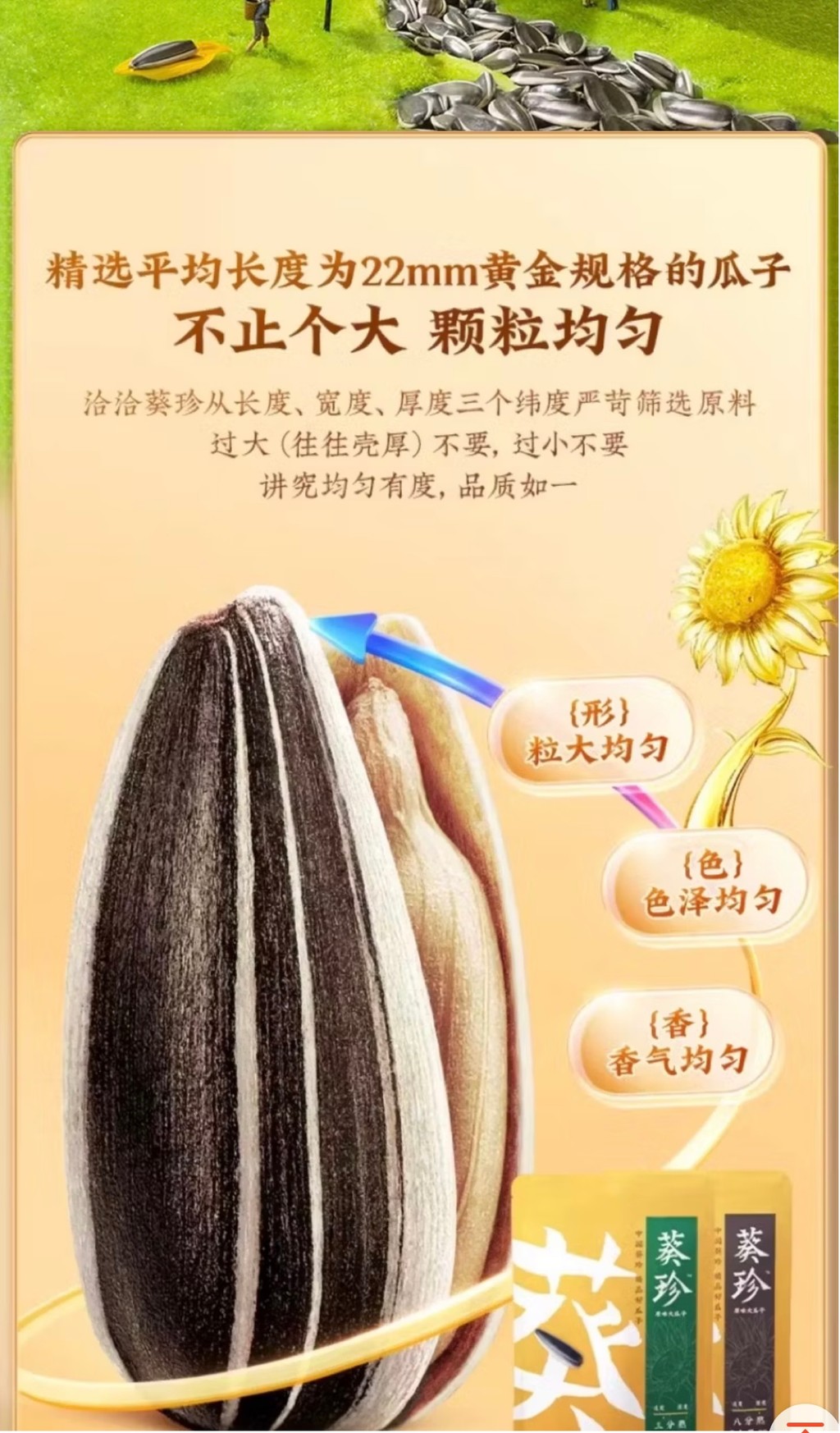 Promo Ori Chacha Jumbo Sunflower Seeds Kuaci Bunga 瓜子葵花籽 98g /Black ...