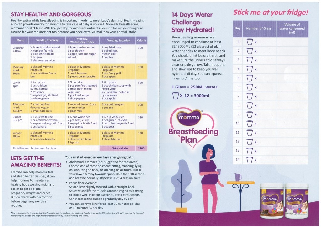 Original Momma Breastfeeding Plan Sheet Paper Record Kertas Rekod ...