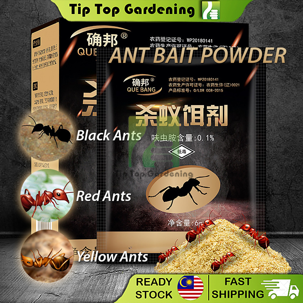 QUE BANG Ant Bait Powder 6g Ants Killing Bait Insect Killer Ubat Serbuk ...