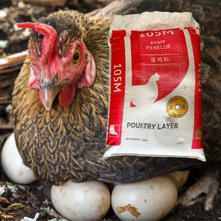 [20KG] [105M] [REPACK] DEDAK AYAM PENELUR JENAMA GOLD COIN | MAKANAN ...