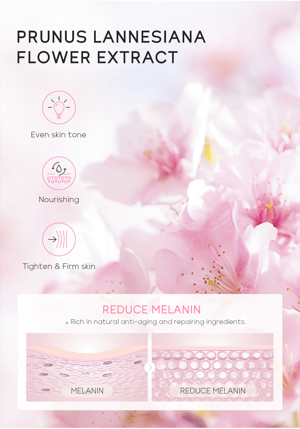 LAIKOU Japan Sakura Bubble Bath Bomb Even Skin Tone Nourishing ...