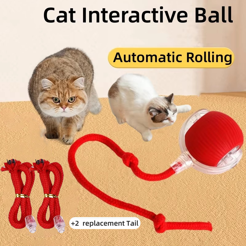 USB Rechargeable Interactive Cat Toy - Electric Rolling Ball with 2 ...
