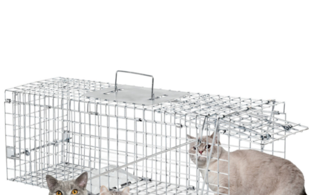 65x26x24cm Live Animal Cage Trap One-Door for Stray Cat with Handle ...