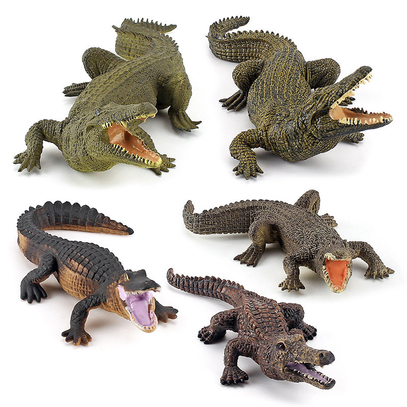 Animal Simulation Pvc Crocodile Model Collection For Educational And ...