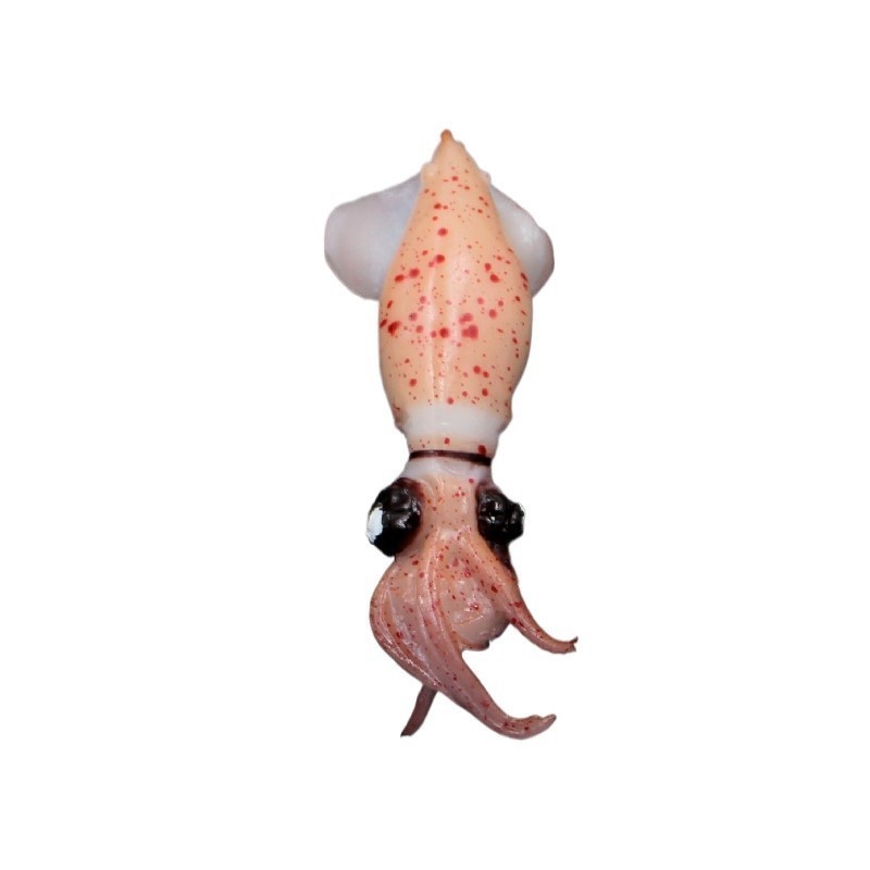 5 Pcs Artificial Mini Squid Model Fake PVC Seafood Baby Squids ...
