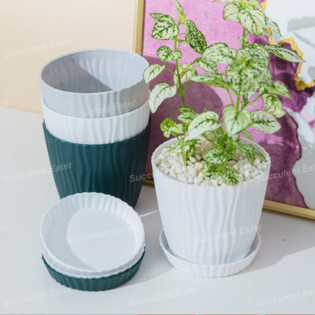 Wave Striped Flower Pot Pasu Bunga Jalur Gelombang 波纹彩色花盆 | Shopee Malaysia