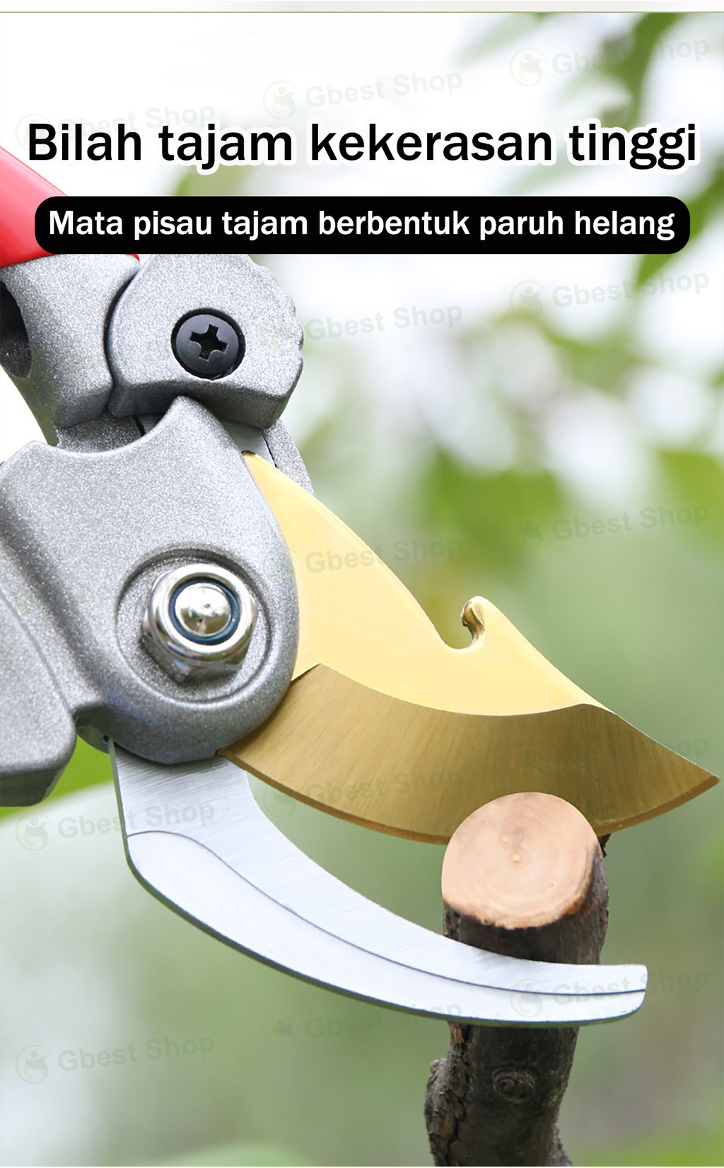 Sk5 Pruning Shears Garden Scissors Tree Cutter Plant bonsai Scissor ...