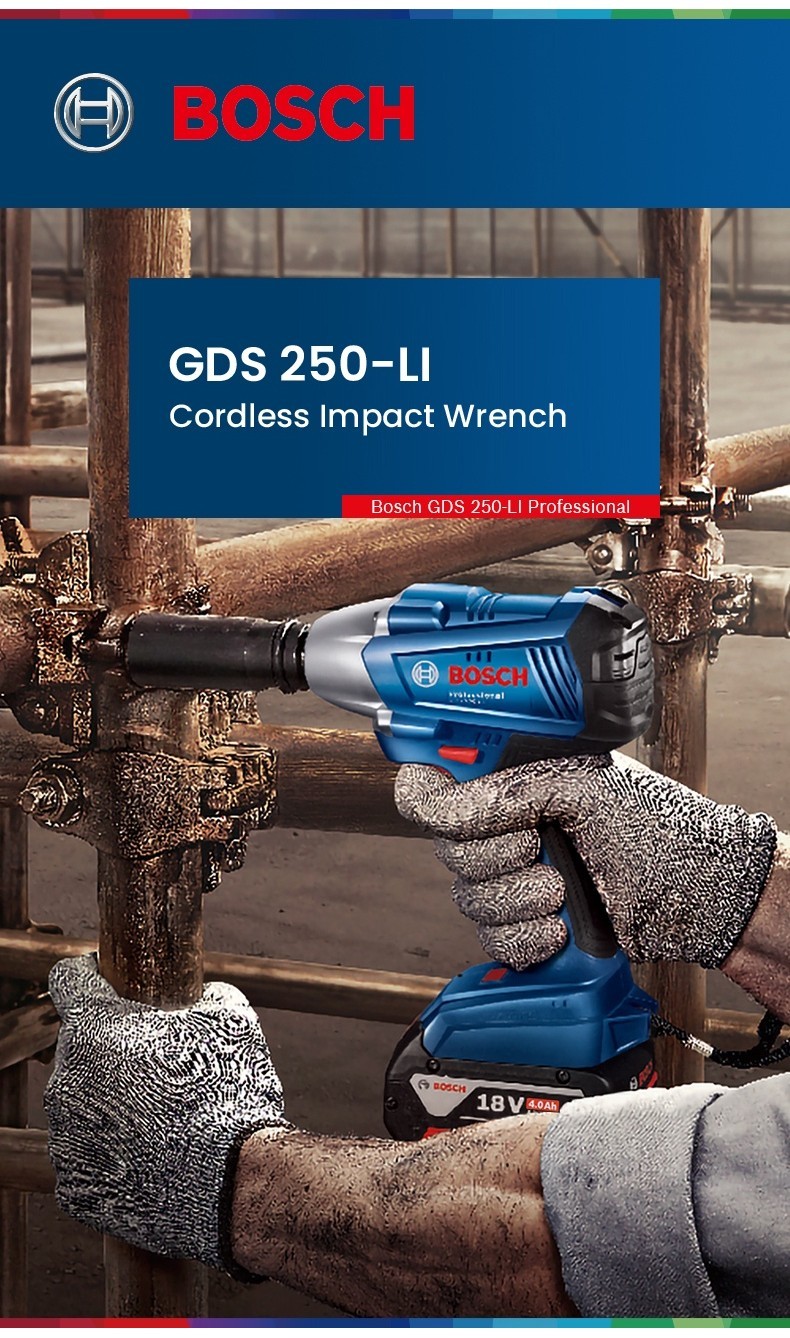 Bosch GDS 250-Li Rechargeable Wireless Screwdriver with 2 Battery 1 ...