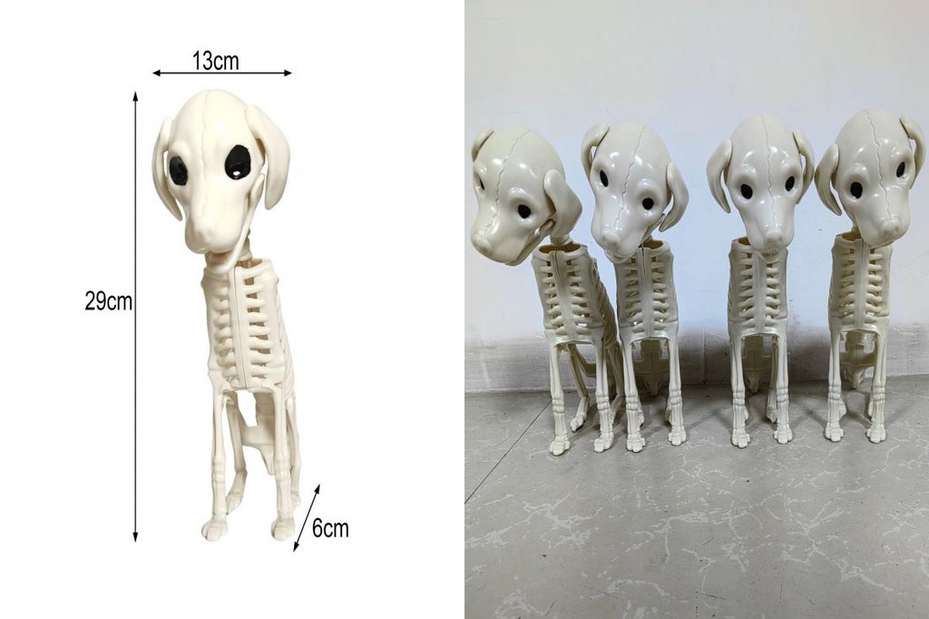 Lahtialu Adjustable Dog Skeleton Figure Articulated Skeleton Prop ...