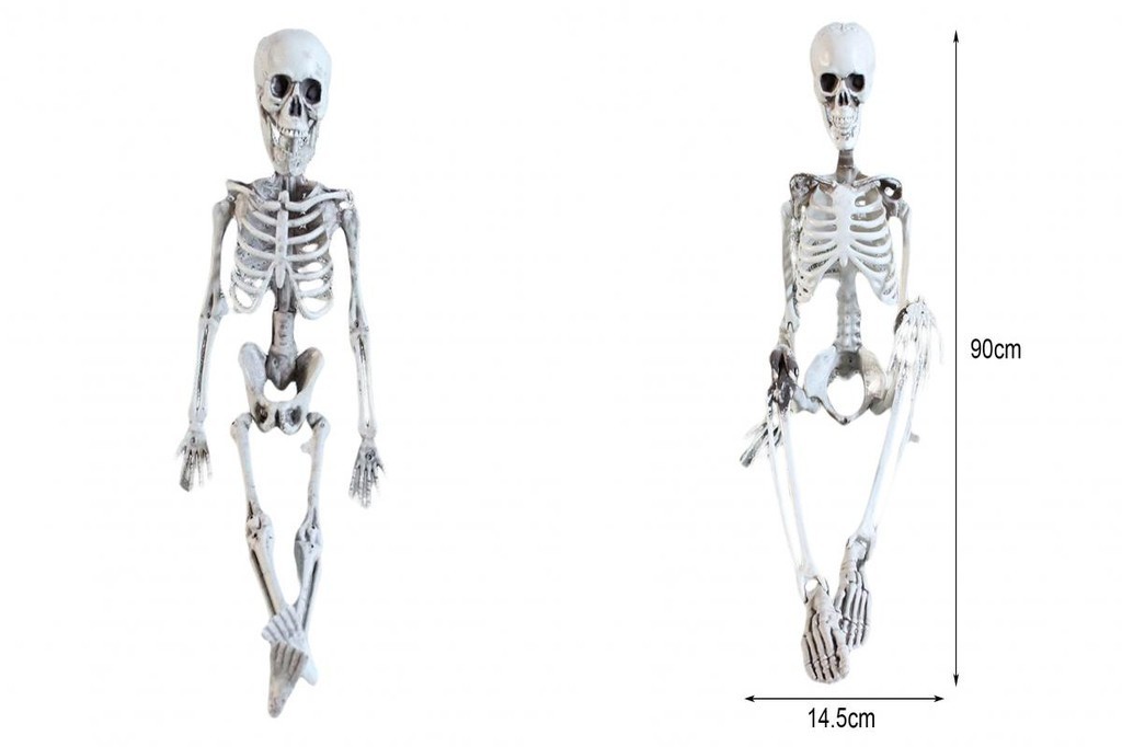 yakhsu| All-weather Plastic Skeleton Spooky Halloween Skeleton ...