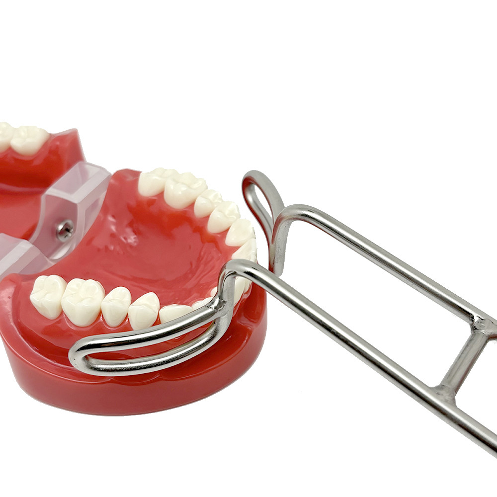 Double-headed Dental Mouth Expand Lip Retractor Intraoral Cheek Upper ...