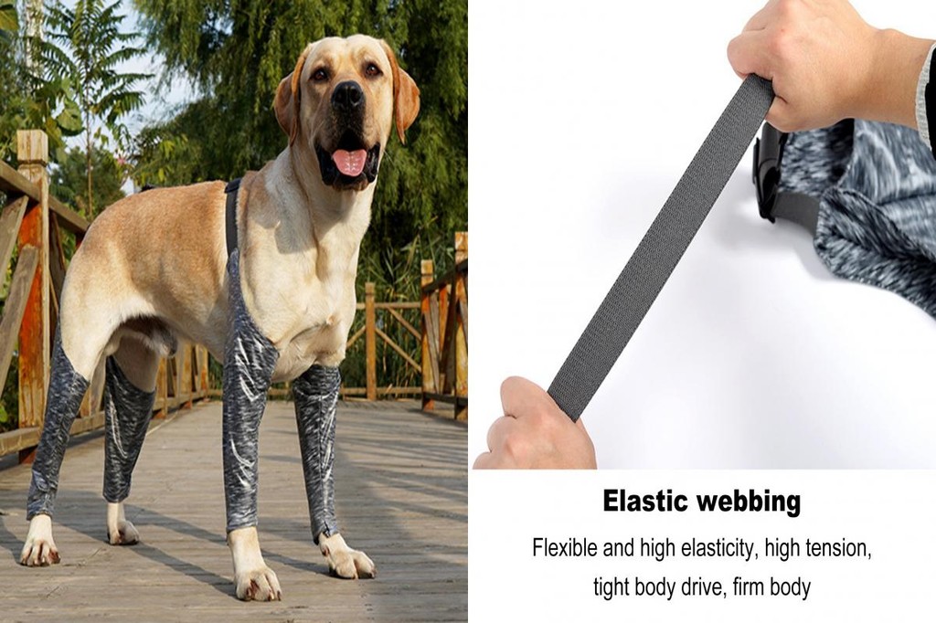 yakhsu| Dog Leg Protection Dog Leg Wound Guard Waterproof Dog Leg ...