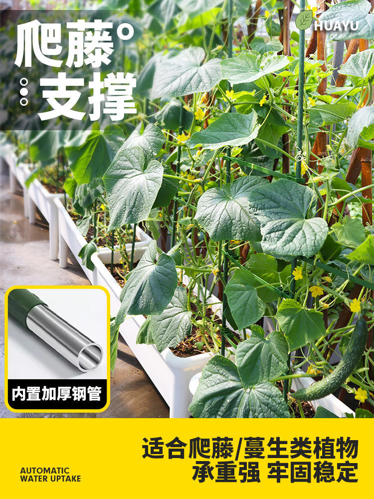 Tomato Cucumber Tomato Climbing Pergola Plant Balcony Flower Rack ...