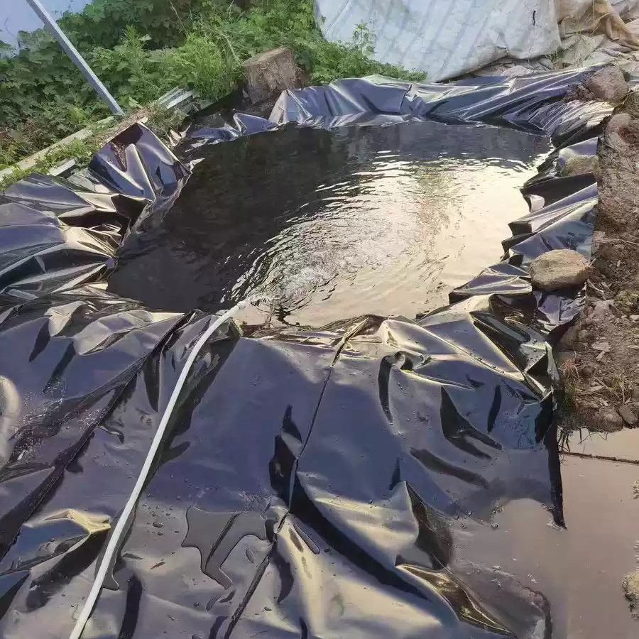 2M/6M/8M Fish Pond Liner Heavy Duty Kolam Ikan Liner Tebal Pelapik ...