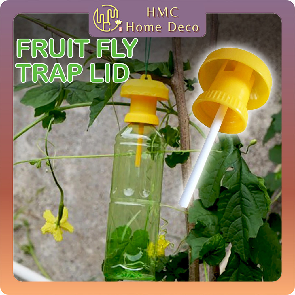 Garden Fruit Fly Trap Lid Insect Flies Catcher Fruit Fly Attractant ...