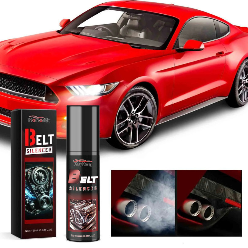 (2PCS) 100ml Rayhong Car Engine Belt Lubricant Automobile Dressing ...