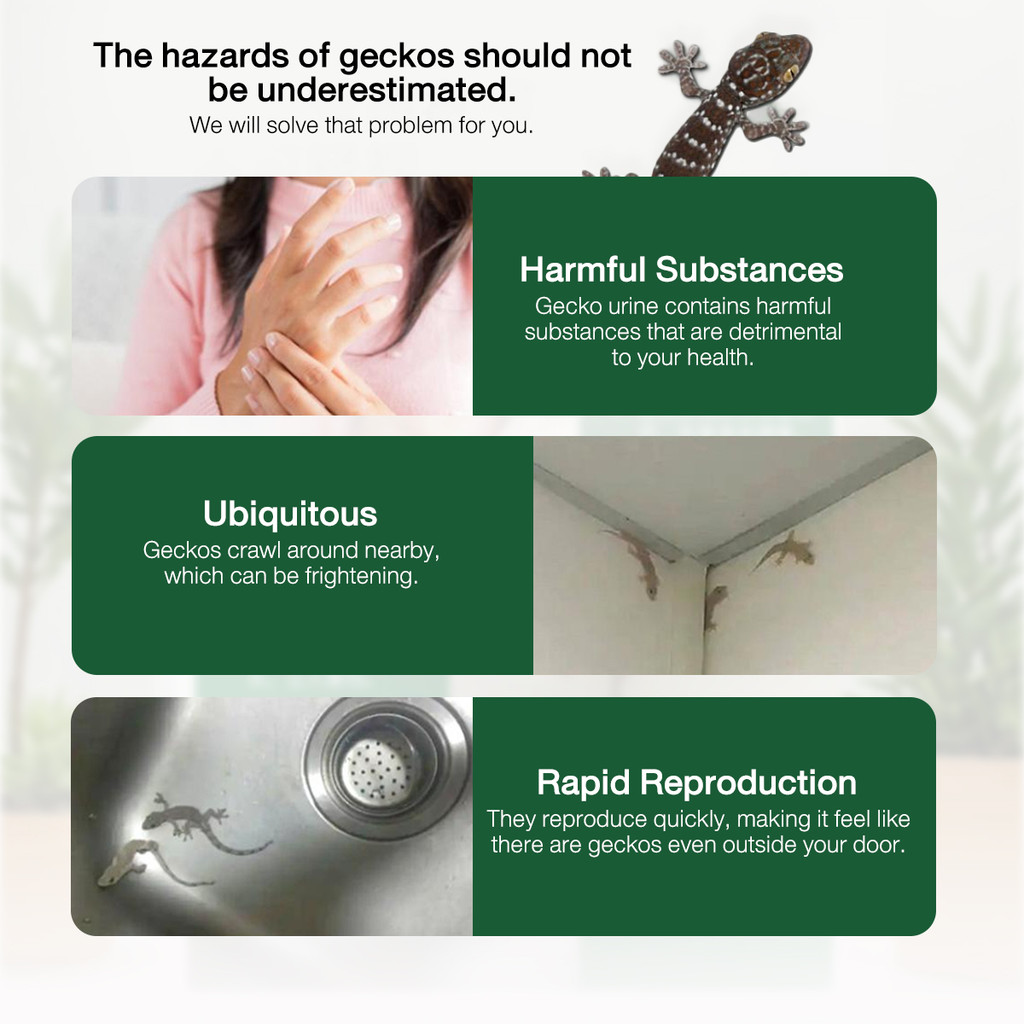 🦎Geckos Repellent Ball Pills Penghalau Cicak Lizard repellent Drive ...