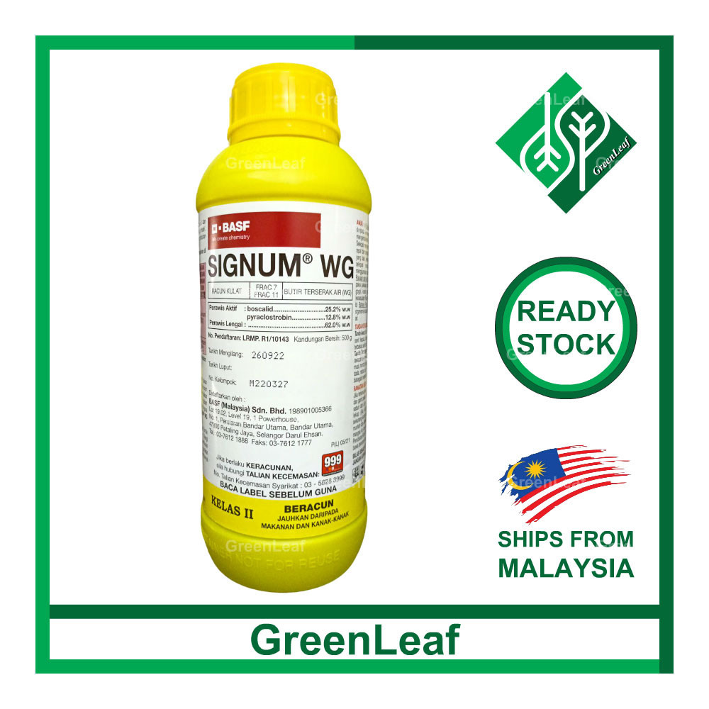 Signum WG 500GM Racun Kulat Fungicide Kulapuk Downy Mildew Reput ...