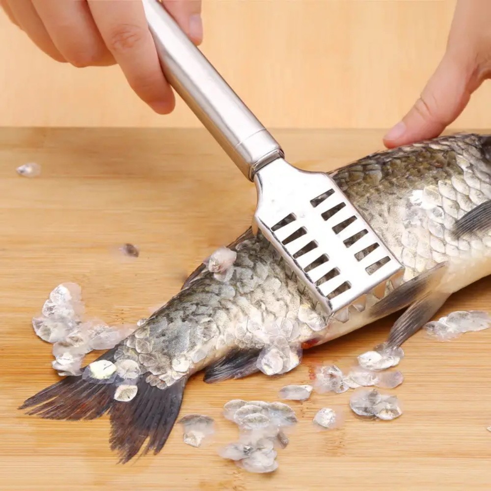 Stainless Steel Fish Scale Cleaner Remover Scaler Descaler Home ...