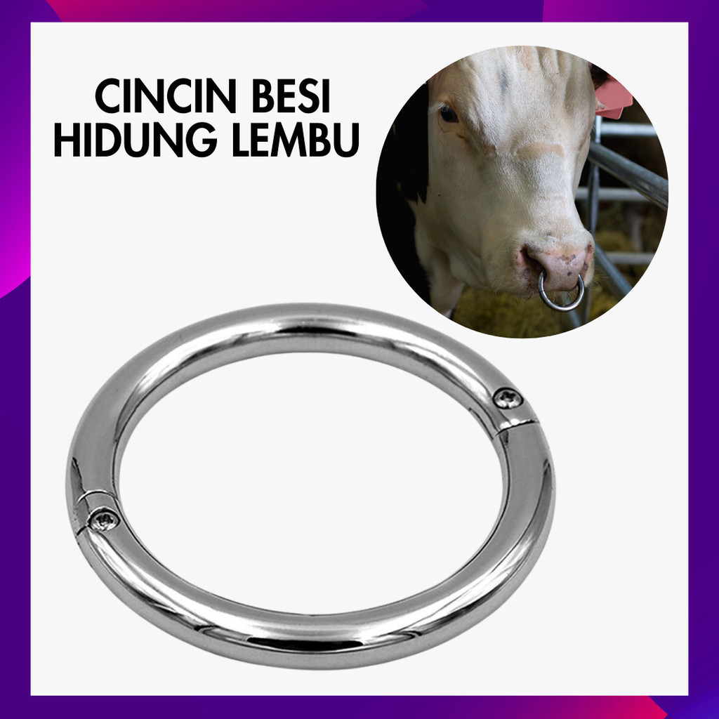CINCIN HIDUNG LEMBU 80MM DIAMETER | COW NOSE RING | Shopee Malaysia