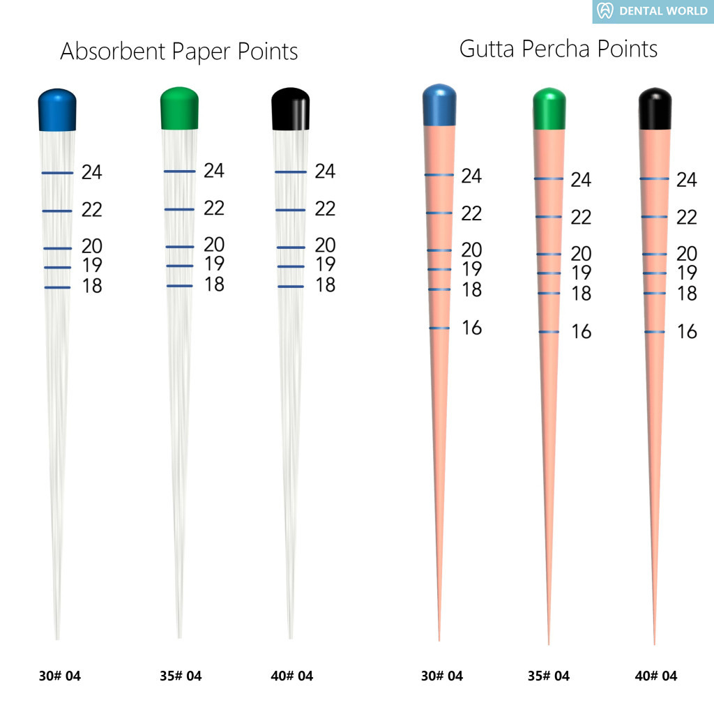 【Tape scale】1 Box Dental Absorbent Paper Points/Gutta percha points 02 ...