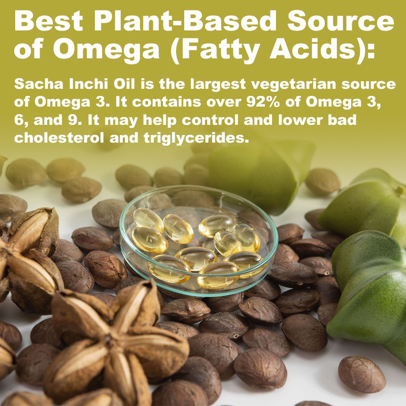 AIRBOY Inca Inchi Oil 600mg, Rich in Omega 3, 6 and 9 and Antioxidants ...