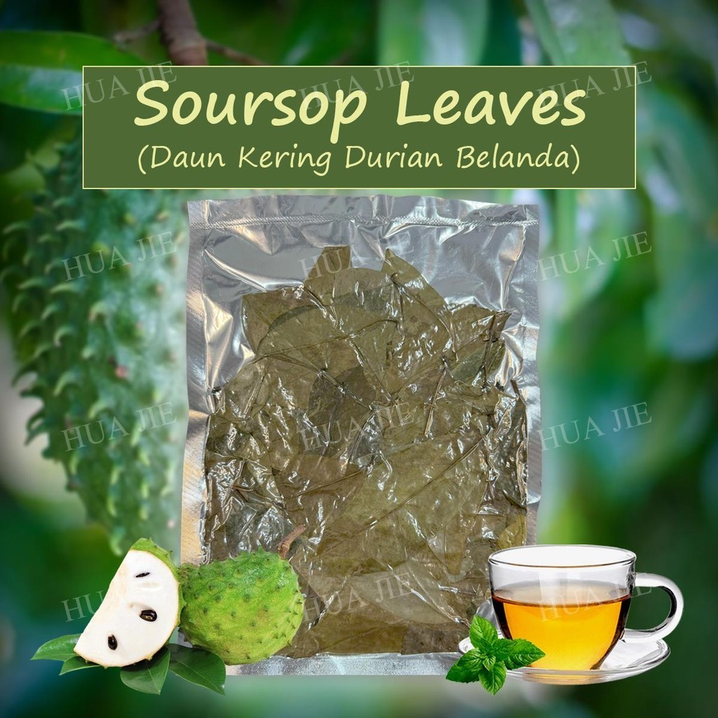 50g Daun Kering Durian Belanda Soursop Dried Leaves Tea Leaf 红毛榴莲叶子 ...