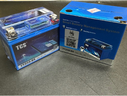 SC64 TCS SMART BATTERY ( YTZ5S-BS / YTZ5S ) Y15 / Y16 / MT15 / R15 ...
