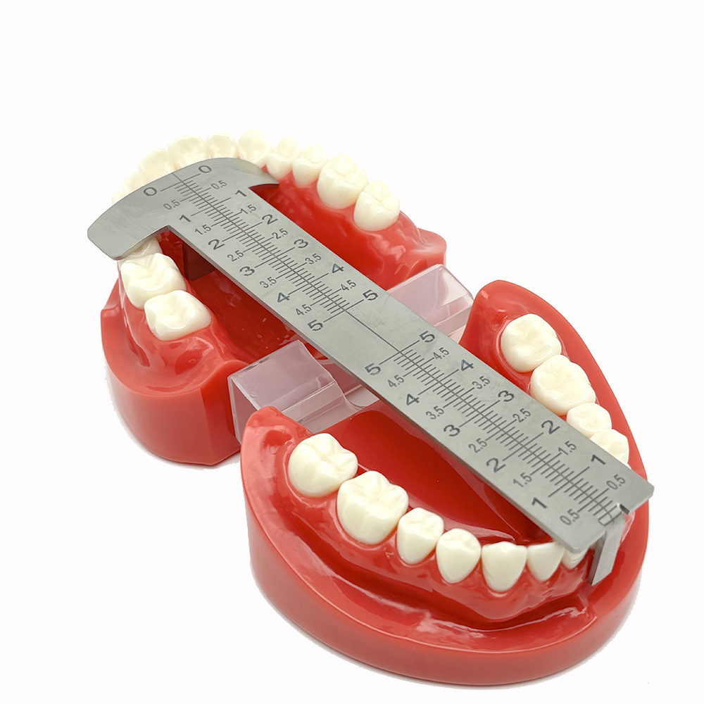 Dental Gauge Papillameter Measuring Ruler Precision Measuring Lip Ruler ...