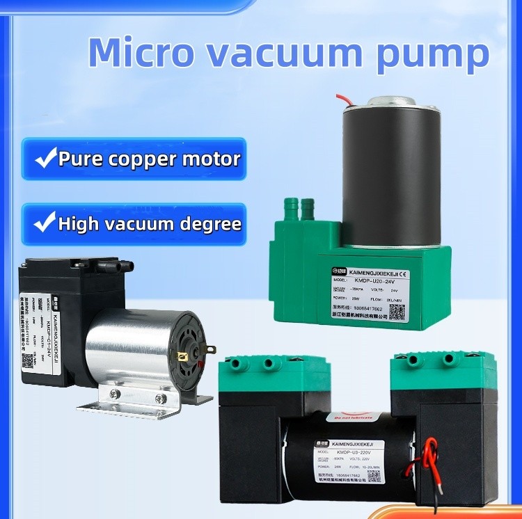 DC12V Mini Air Pump Small DC Vacuum Pump Positive and Negative Pressure ...