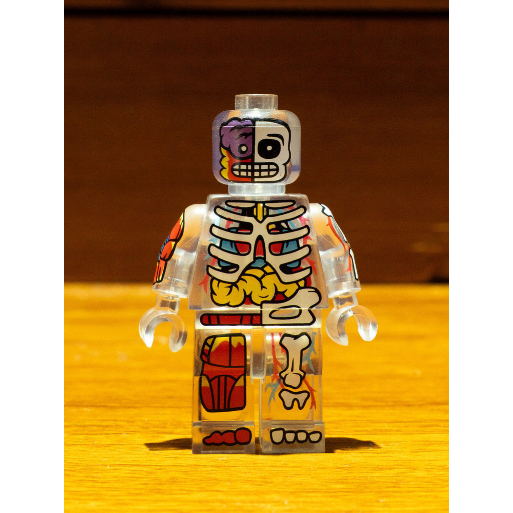 Vivi toys Suitable for Lego Lucky Music Transparent Human Anatomy Bone ...